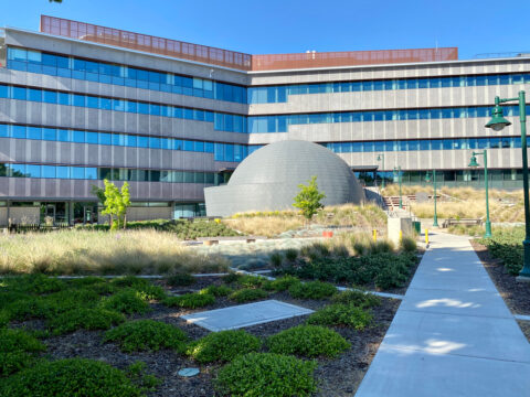 ABA Programs Offered at Sacramento State - Online ABA Programs